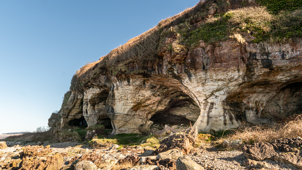 Newcastleton | Forestry and Land Scotland
