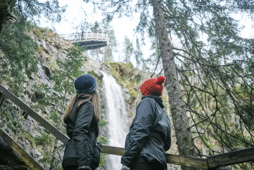 Plodda Falls Forest Visitor Guide | FLS