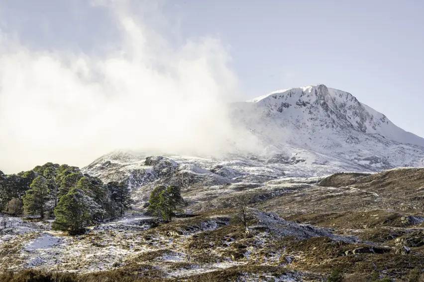 Forests in Glen Affric - Find Forests and Walks | FLS