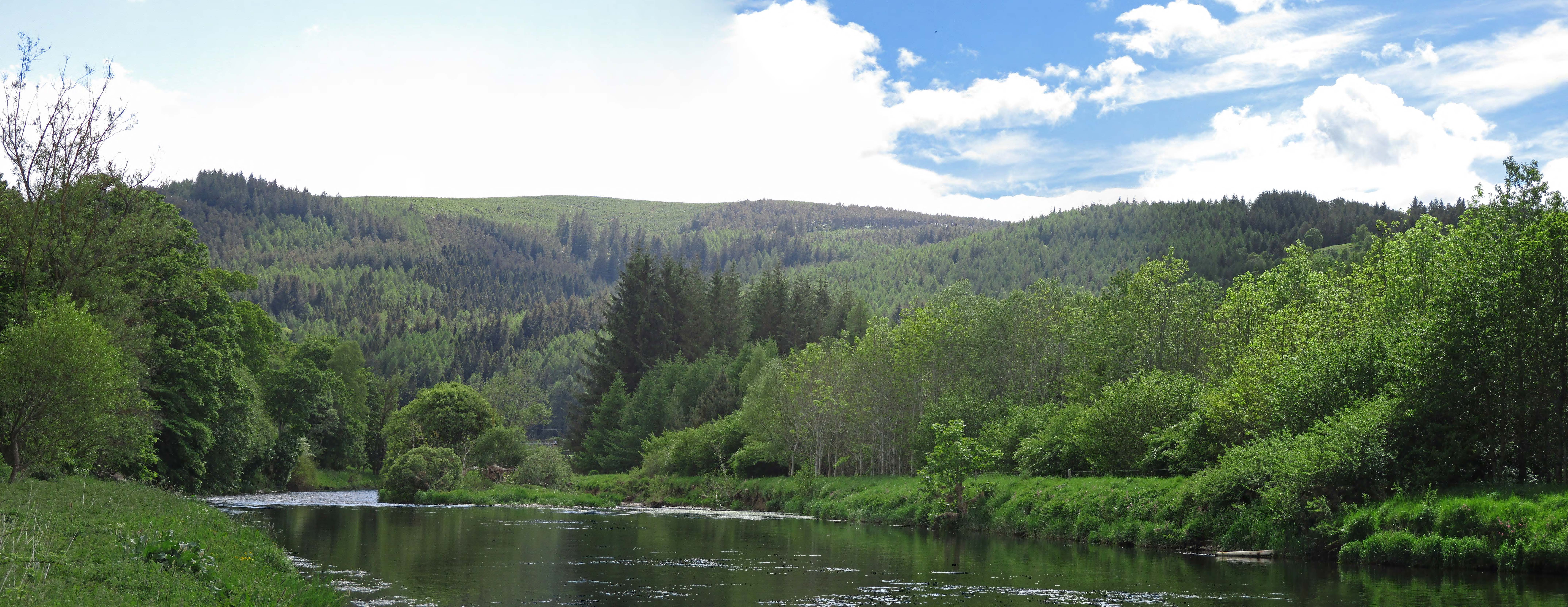 Glentress, Cardrona and Cademuir Land Management Plan | Forestry and ...